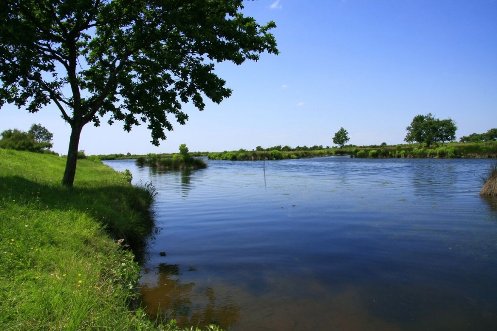 Audenge: Balade au fil de l'eau!